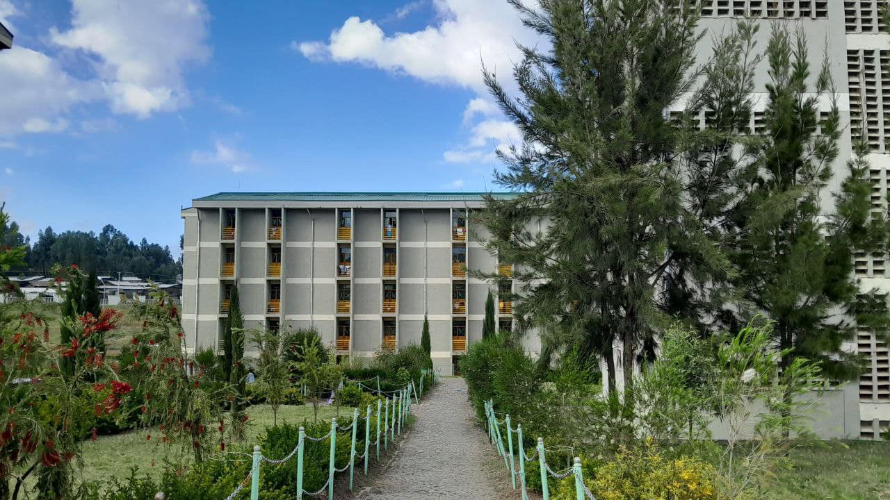 Home - College of Social Sciences