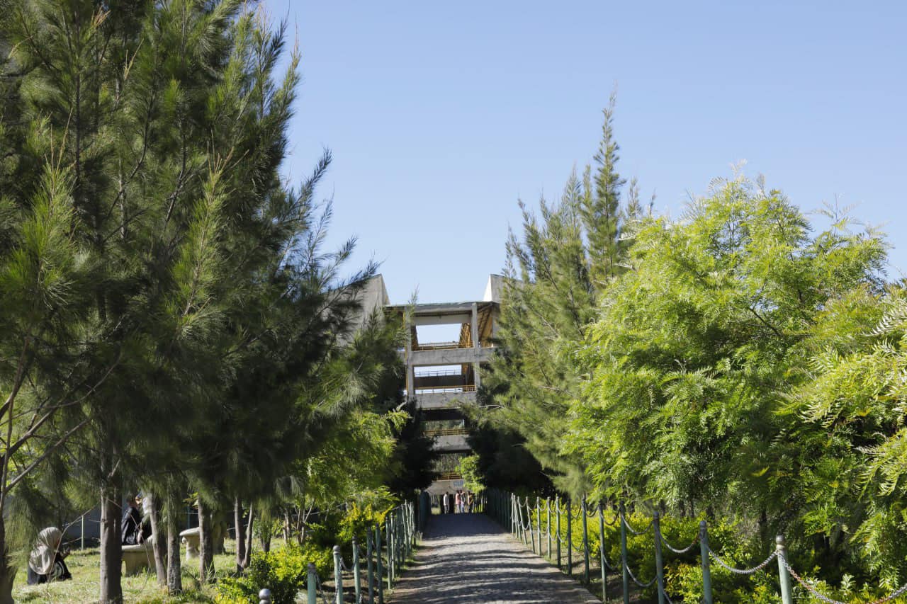 Home - College of Social Sciences